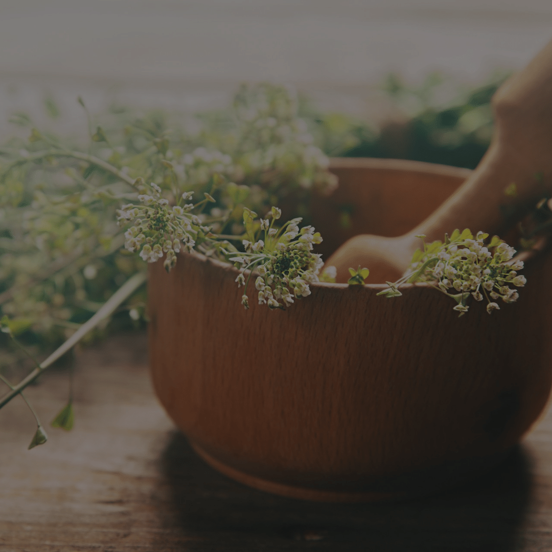 What is Herbal Compounding? | Sun God Blog | Sun God Medicinals